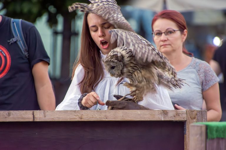 Radvanský jarmok 2024: Program s koncertmi Jany Kirschner a Lenky ...